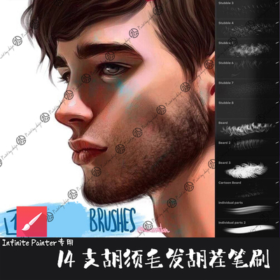 Infinite Painter笔刷14支男式人像胡须胡茬毛发体毛勾线手绘画笔