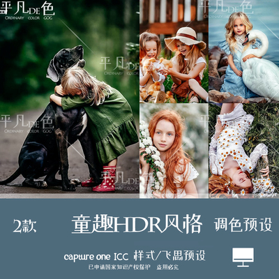 capture one样式儿童趣HDR色调艺术人像调色滤镜C1飞思预设CO889