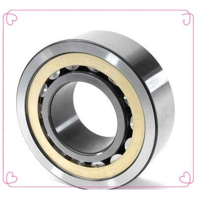 哈尔滨轴承NJ1005 1006 1007 1008 1009 1010 1011 1012 1013EM