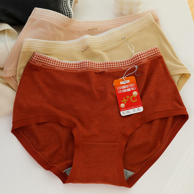 彩田磨毛女内裤秋冬加厚女士内裤
