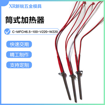 替米思加热棒C-MFCH6.5-100-V200-W220筒式加热器 标准型/凸缘型