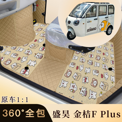 盛昊金桔FPLUS电动三轮车脚垫