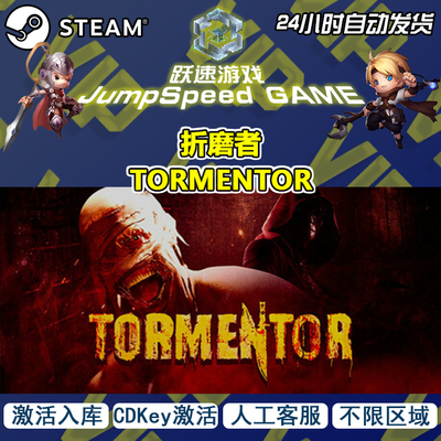 steam 游戏 折磨者 TORMENTOR 激活入库 PC端 人工客服 售后无忧