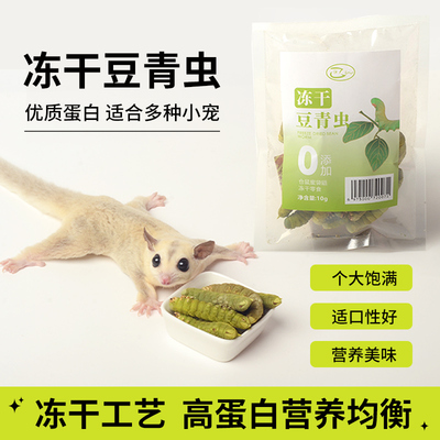 蜜袋鼯仓鼠零食青豆虫补充营养