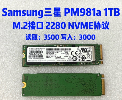 Samsung/三星 PM981a