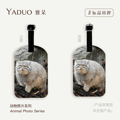 Yaduo动物方形行李牌兔狲吊牌挂牌行李箱包包挂饰周边创意礼品