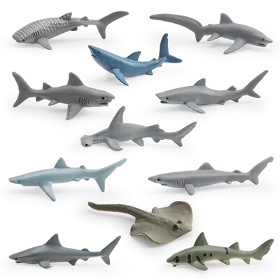 套装仿真海洋动物模型虎鲨蓝鲨灰礁鲨大白鲨长尾鲨斑鹰鲨猫鲨摆件