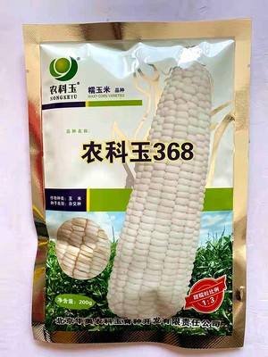 国审农科玉368玉米种子农科玉336糯玉米种籽甜糯高产大棒鲜食玉米