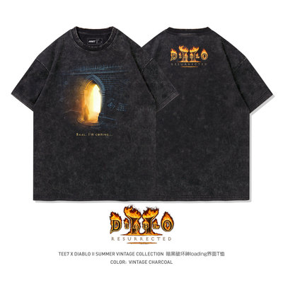 TEE7-暗黑破坏神Diablo2复古水洗做旧loading界面纯棉短袖T恤