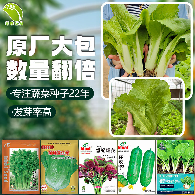 蔬菜种子四季播种阳台盆栽庭院香菜籽生菜菠菜辣椒草莓种籽孑大全