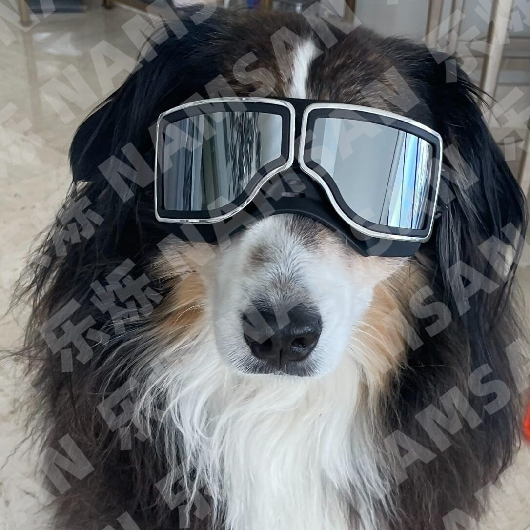 宠物眼镜新品狗狗机车眼镜墨镜中大型犬护目镜防风防晒宠物配饰