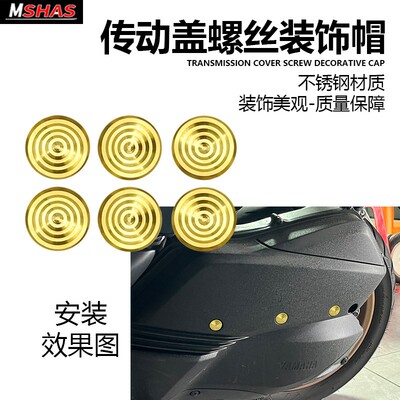 MSHAS适用雅马哈X300改装
