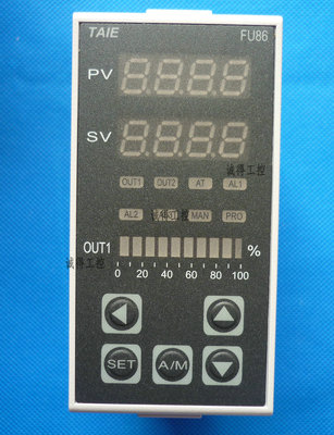 原装进口温控仪TAIE厂家直销