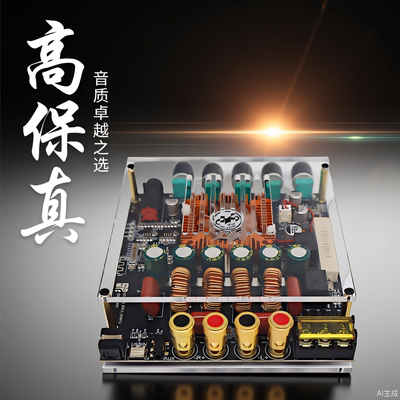 TPA3255功放话筒光纤声卡大功率