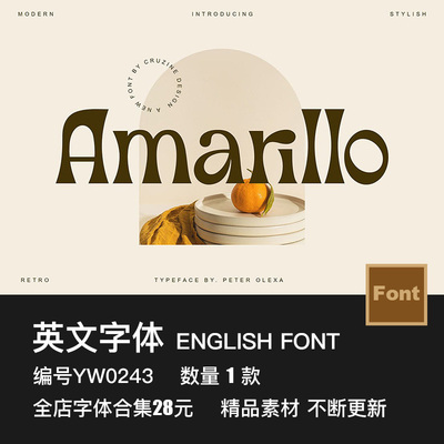 欧美现代风格优雅时尚品牌logo杂志海报标题包装设计英文字体素材