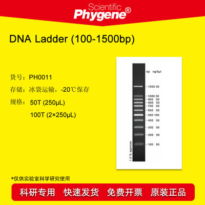 DNAladder科研专用Phygene
