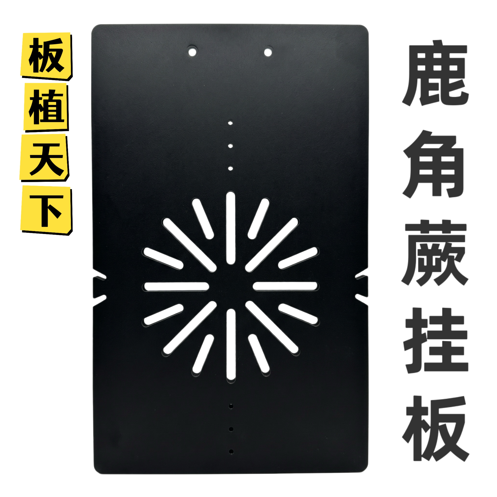鹿角蕨挂板网红款挂板热植板洞洞板植鹿角蕨高端挂板