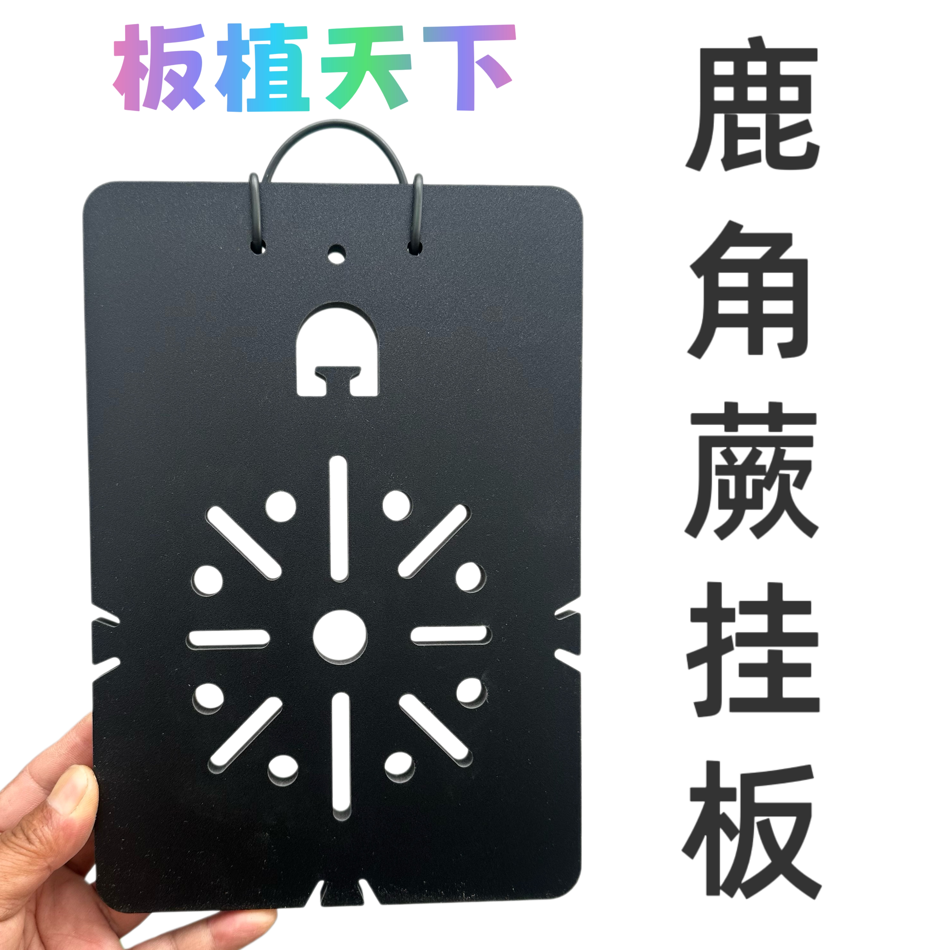 鹿角蕨挂板热植板洞洞板黑曼巴磨砂免钉款板蝴蝶兰石斛挂板