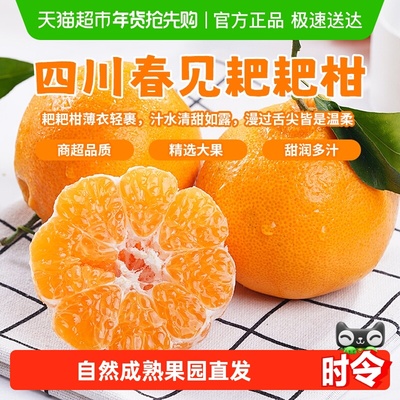 米乐果四川耙耙柑柑果