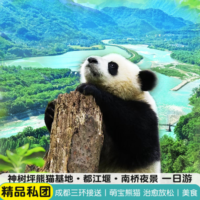 都江堰神树坪熊猫一日游