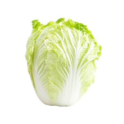 白菜种子夏阳早熟耐热包邮白菜