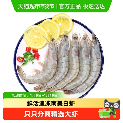 厄瓜多尔南美白虾基围虾