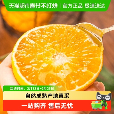 江昊阳重庆奉节脐橙