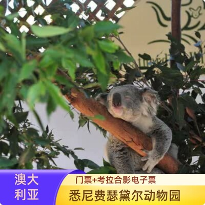 费瑟黛尔动物园门票