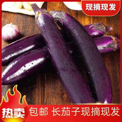 紫茄子紫黑长茄子农家长茄子新鲜时令蔬菜现摘现发包邮露天种植