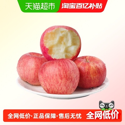 山东烟台红富士烟台苹果