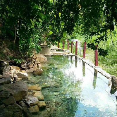 七仙瑶池野溪温泉-成人票