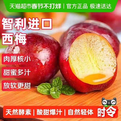 京运达正宗智利进口西梅