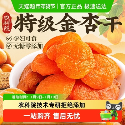 特级金杏干无糖无添加