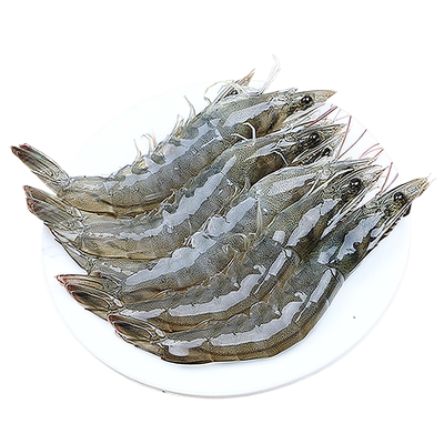 王牌大虾鲜活速冻超大基围虾王牌盐冻海虾白虾厄瓜多尔南