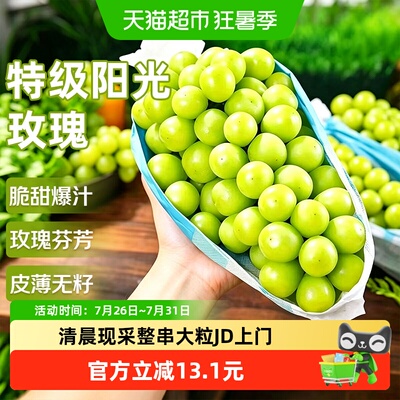 京运达正宗阳光玫瑰葡萄