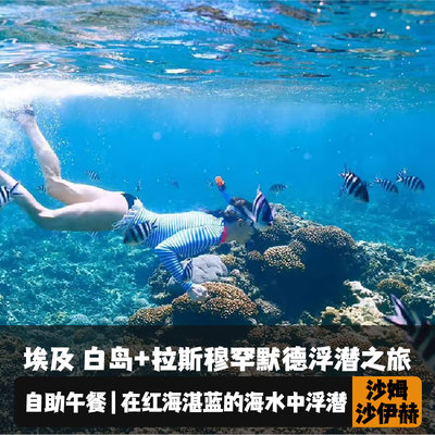 拉斯穆罕默德浮潜之旅
