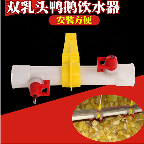 鸭子球阀式饮水器 鸭用钢球双乳头饮水器 鸭子自动饮水器兽用器械