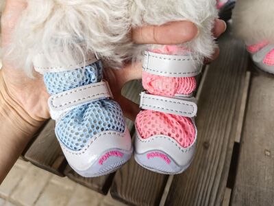 软薄透气单层网眼不闷脚