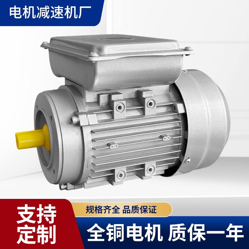 YY/YL单相220V2800转高速铝壳电机两极异步电动机全铜电机立式
