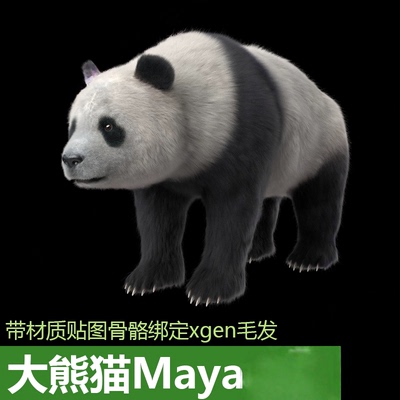 大熊猫Maya模型国宝写实熊猫带材质贴图骨骼绑定xgen毛发