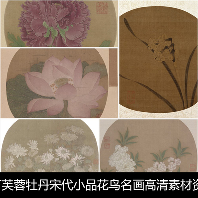 VO芙蓉牡丹宋代小品花鸟名画高清素材资料参考12 1.57GB TIF格式