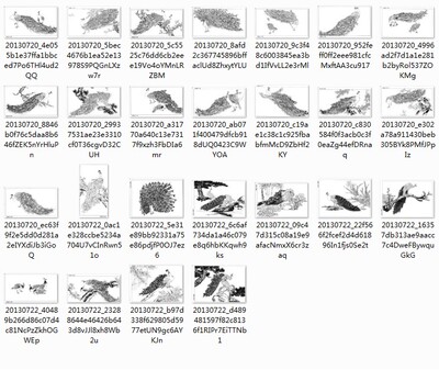 中国风工笔孔雀白描线稿非高清素材 25 4.57MB JPG格式