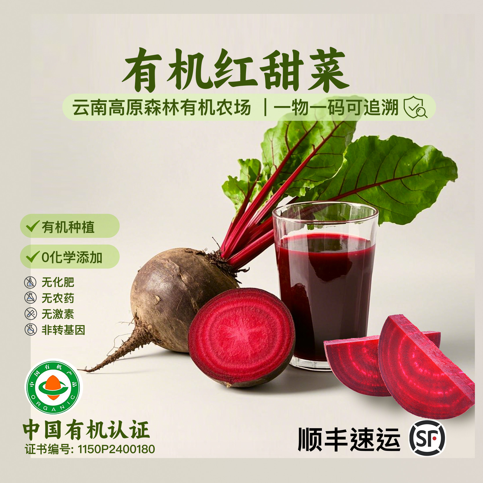 云南高原有机甜菜根5斤新鲜现采榨汁沙拉生食甜菜头火焰菜顺丰包