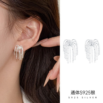 2026新款S925银烟花流苏耳钉女韩国东大门时尚耳饰小众ins饰品