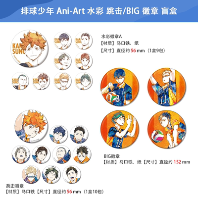 日本正版 排球少年 Ani-Art 水彩 跳击/BIG 徽章 盲盒 周边谷子