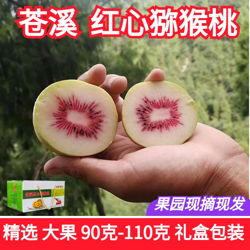 苍溪红心猕猴桃 产地直销 新鲜水果 孕妇 鲜果 奇异果 黄肉 包邮