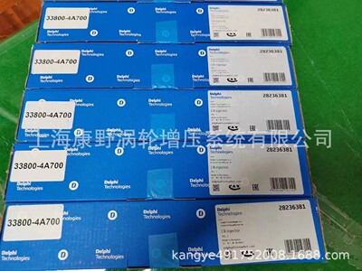 德尔福喷油器​28236381 ​33800-4A700和33800-4X400 EJBR03902D