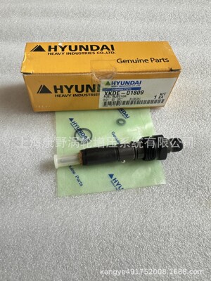 喷油嘴DLLA145P788和KDAL59P42和454-5091和5342352和0434240002