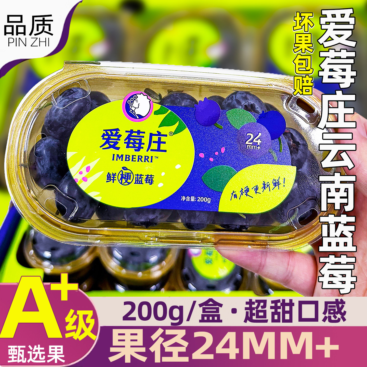 云南山地蓝莓鲜果特大果 当季限量脆甜带枝蓝莓水果顺丰