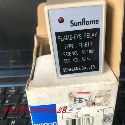 flame detector FE 61R 220V/110V 全新现货  现货 议价